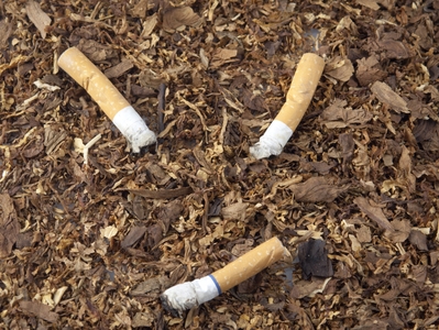 Cigarette butt named official flower of Montreal - The Beaverton