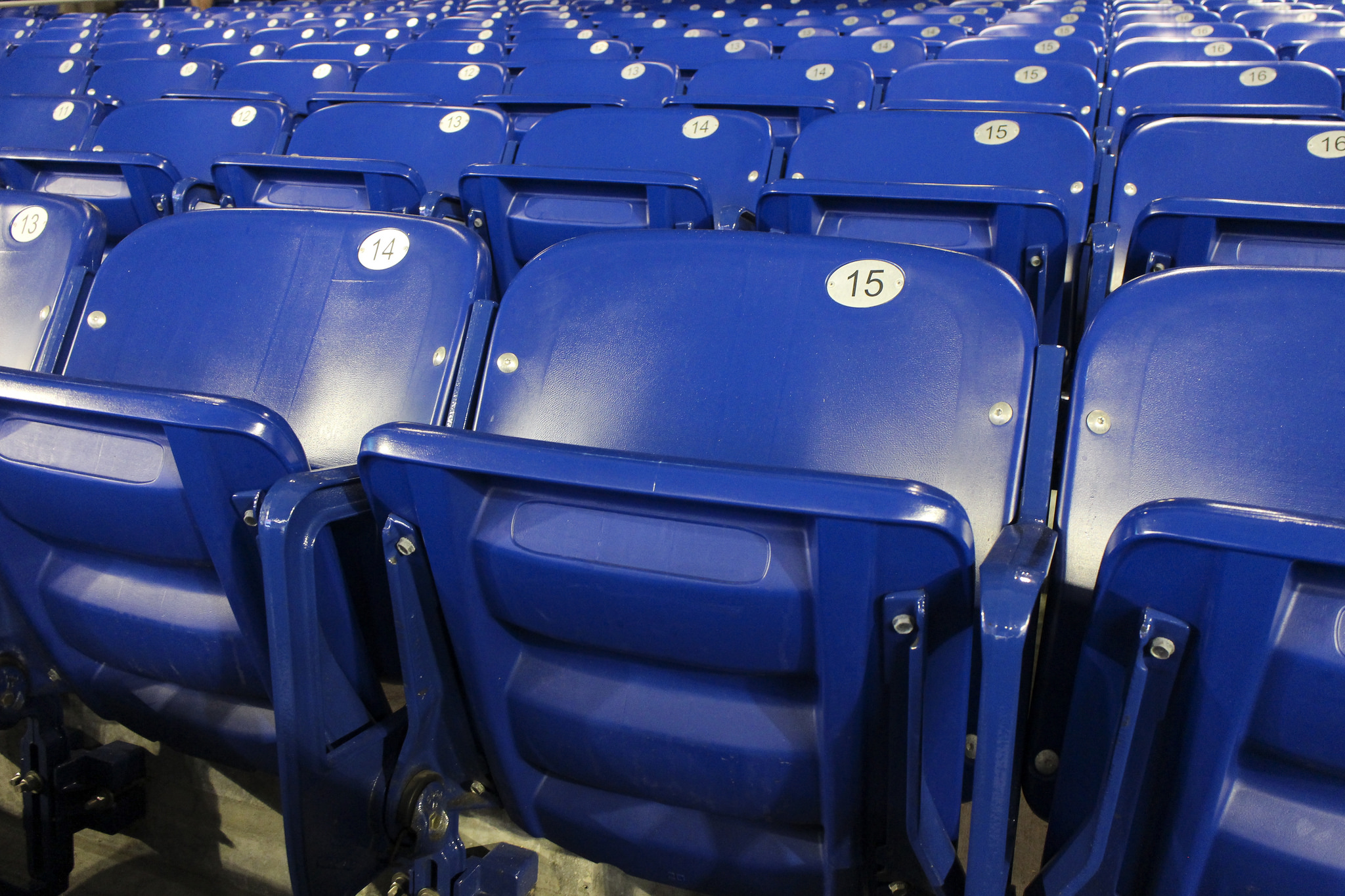 Toronto Argonauts Mascot
