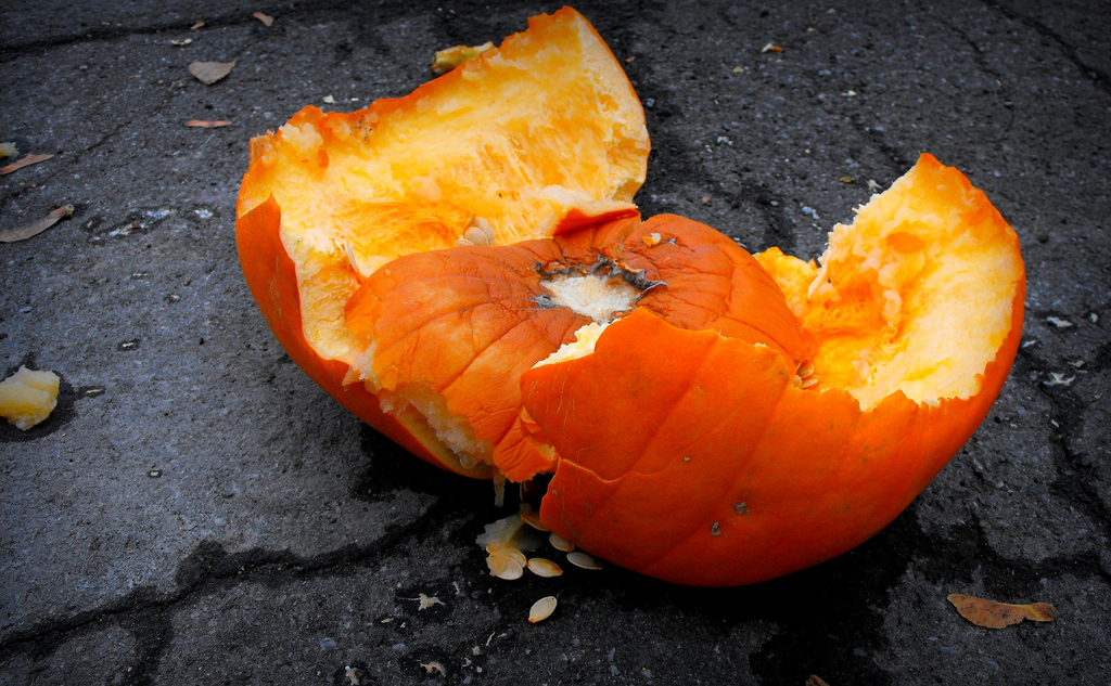 Millions in property damage caused as pumpkins plummet from the sky for ...