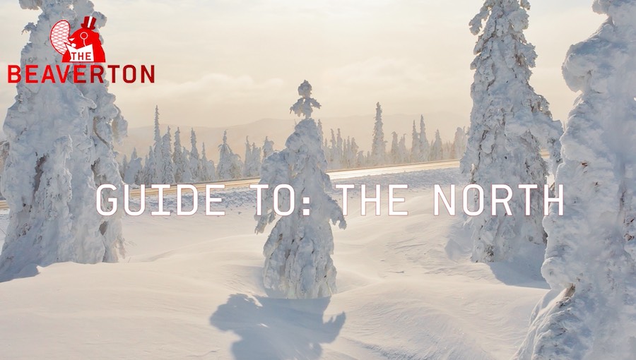 Guide To: The North - The Beaverton