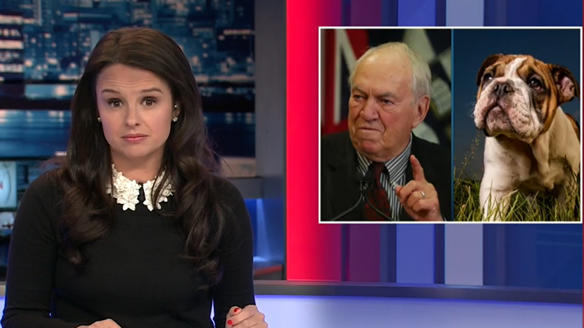 Watch: Season 2, Episode 13 - The Beaverton