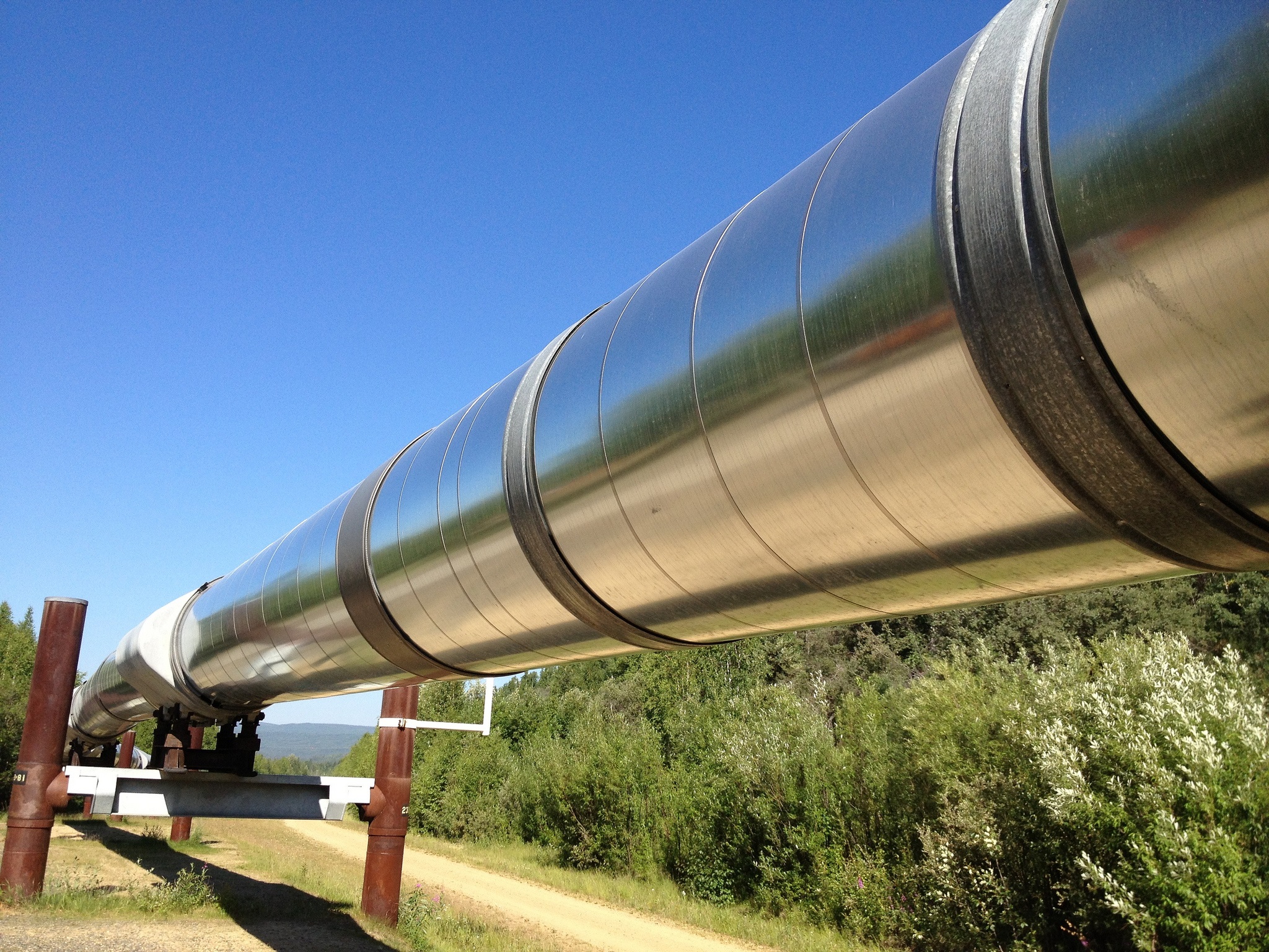 Protesters block construction of new essential oil pipeline - The Beaverton