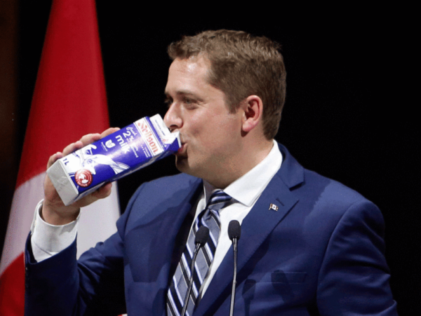 Scheer checks into rehab for milk addiction - The Beaverton