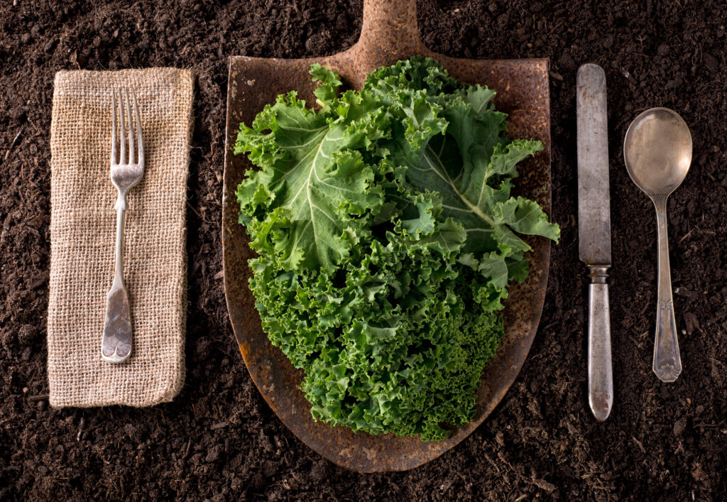 Kale reveals the real superfoods are the ones that go out every day and ...