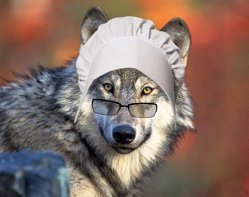 "My, how you've grown," report nation's wolves-in-grandma’s clothes ...