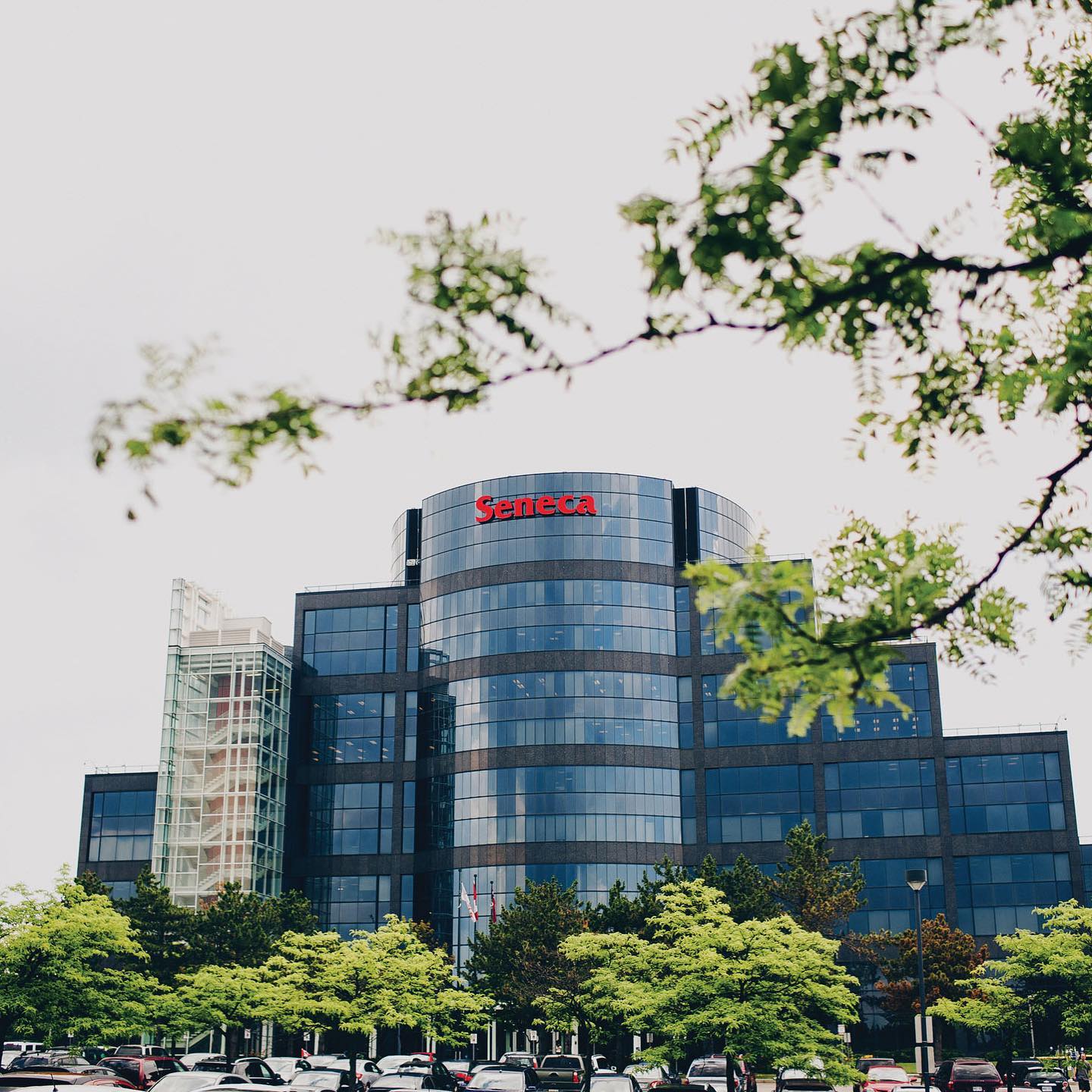 Seneca College unveils slogan “Seneca: The Harvard of Eastern Finch/Don ...