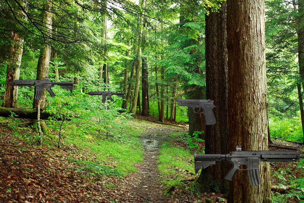 New U.S. Environmental Protection Plan basically just giving nature ...