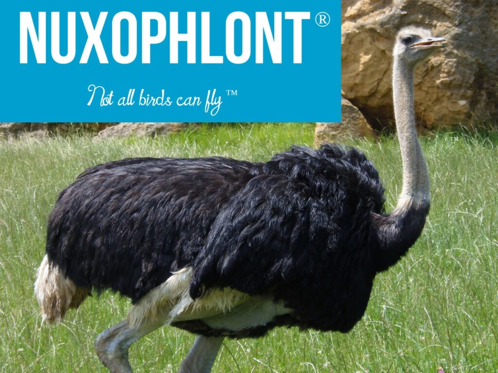 Ad for erectile dysfunction medication using really confusing metaphor ...