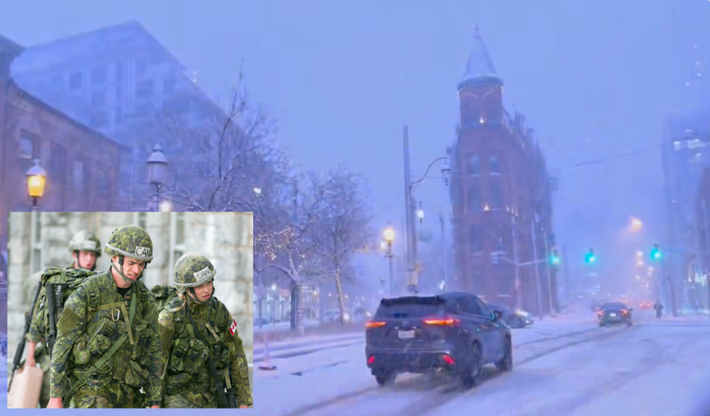 Following thundersnow storm Toronto calls in army just in case - The ...