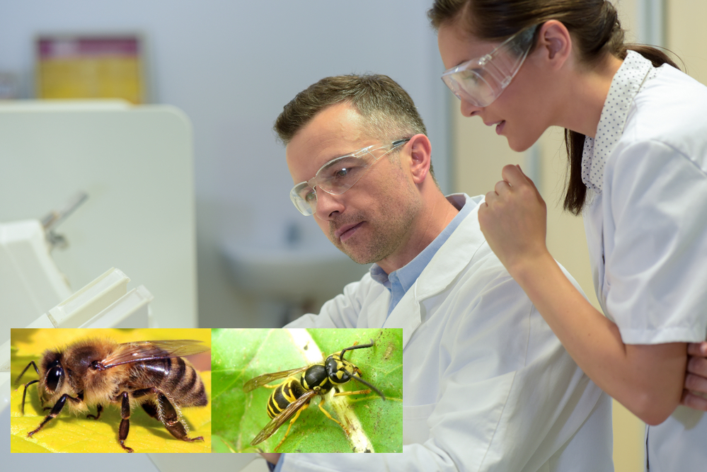 Scientists determined to find what's killing all the bees so it can be ...