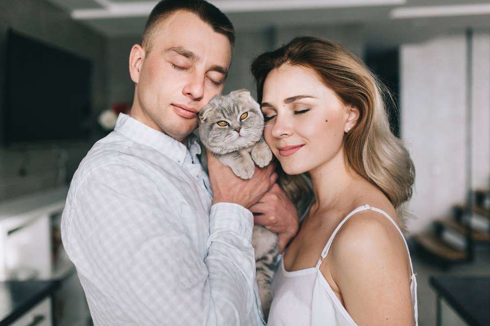 Local cat discovers he’s adopted - The Beaverton