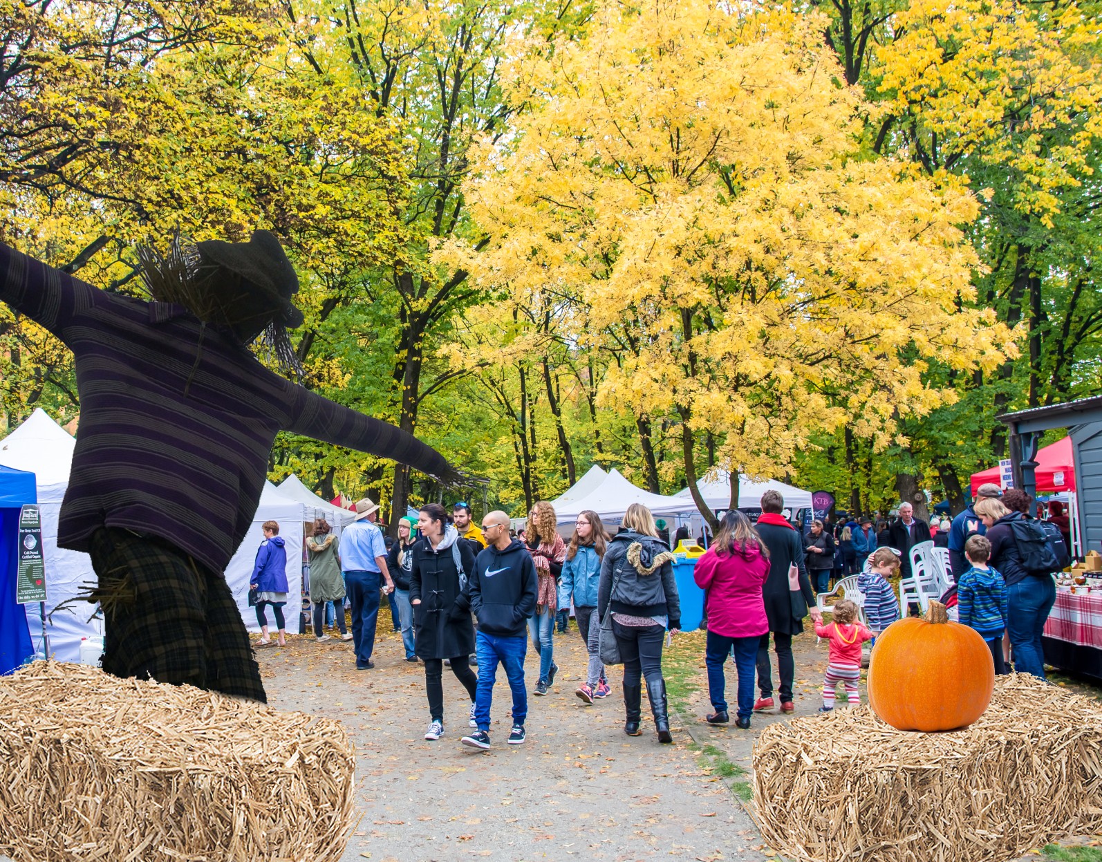 Fall festival just summer festival with scarecrow - The Beaverton