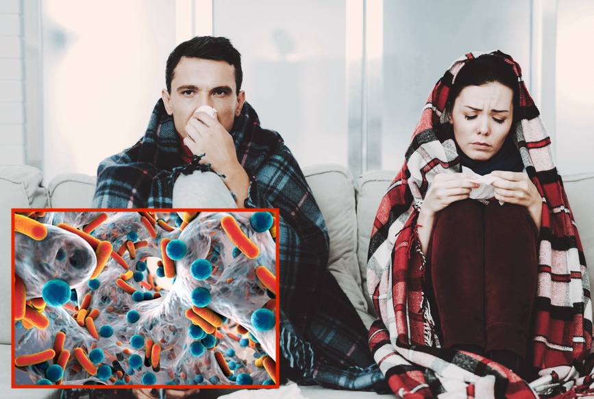 Polio, Bubonic Plague, Smallpox compete to see who can re-establish ...